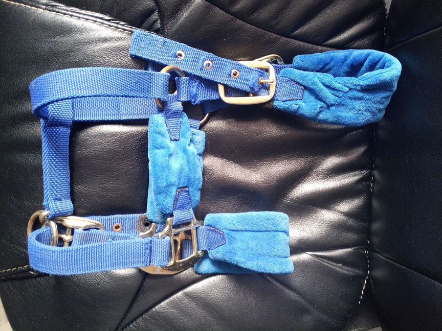 Недоуздок на райд пони или на крупную пони