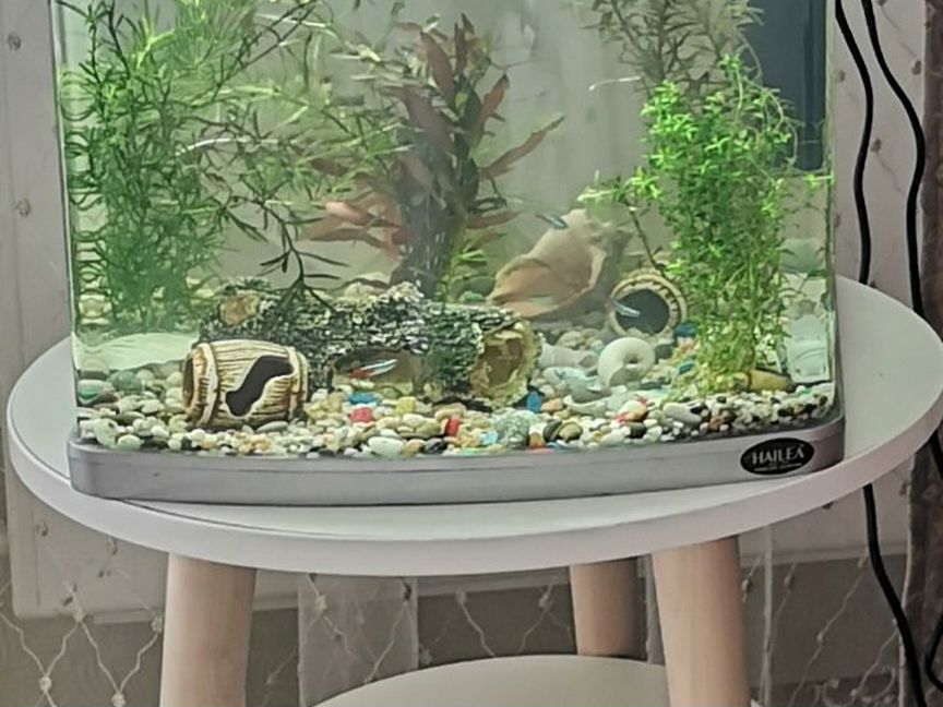 Аквариум Hailea B30