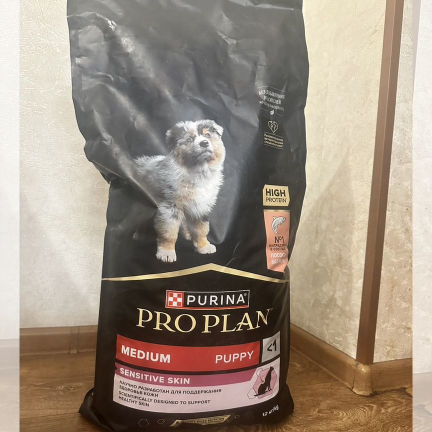 Корм для собак