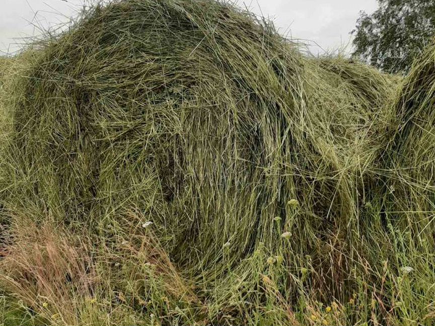 Сено, солома в рулонах