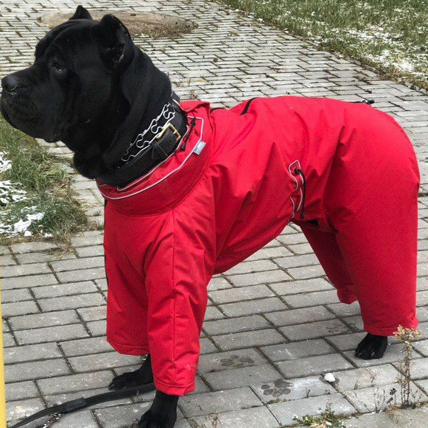 Зимние комбинезоны для собак-кане-корсо,доберманов