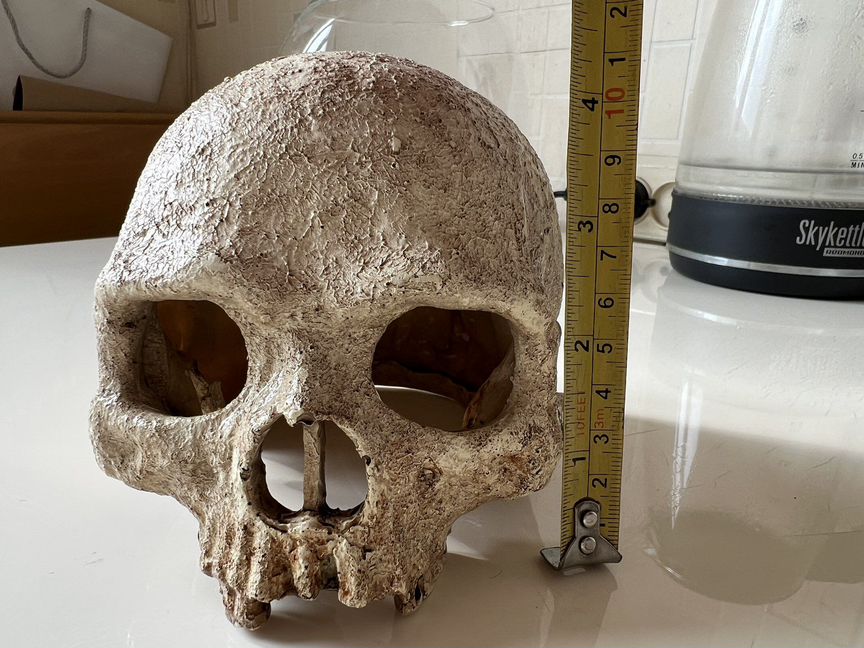 Укрытие декорация для аквариума/террариума