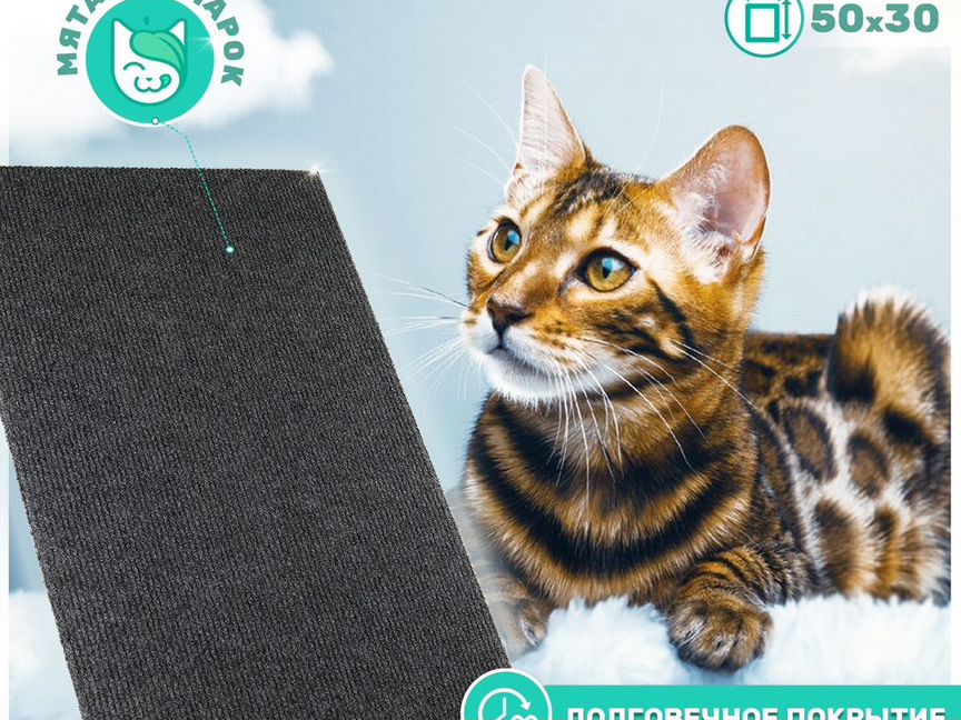 Когтеточка лежанка