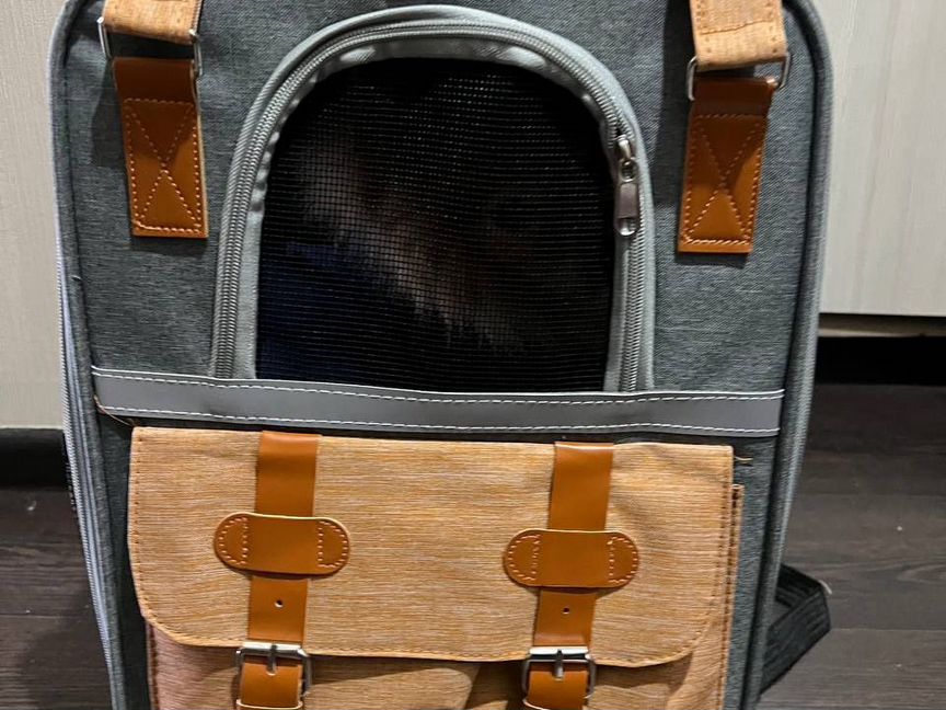 Переноска для собак и кошек