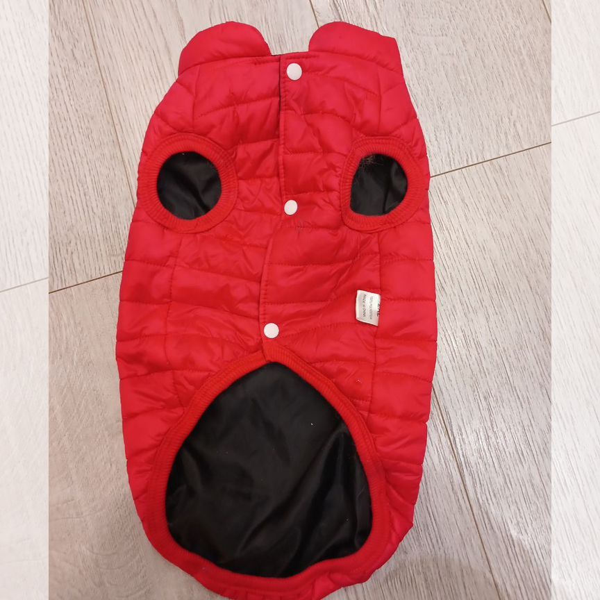 Одежда для собак