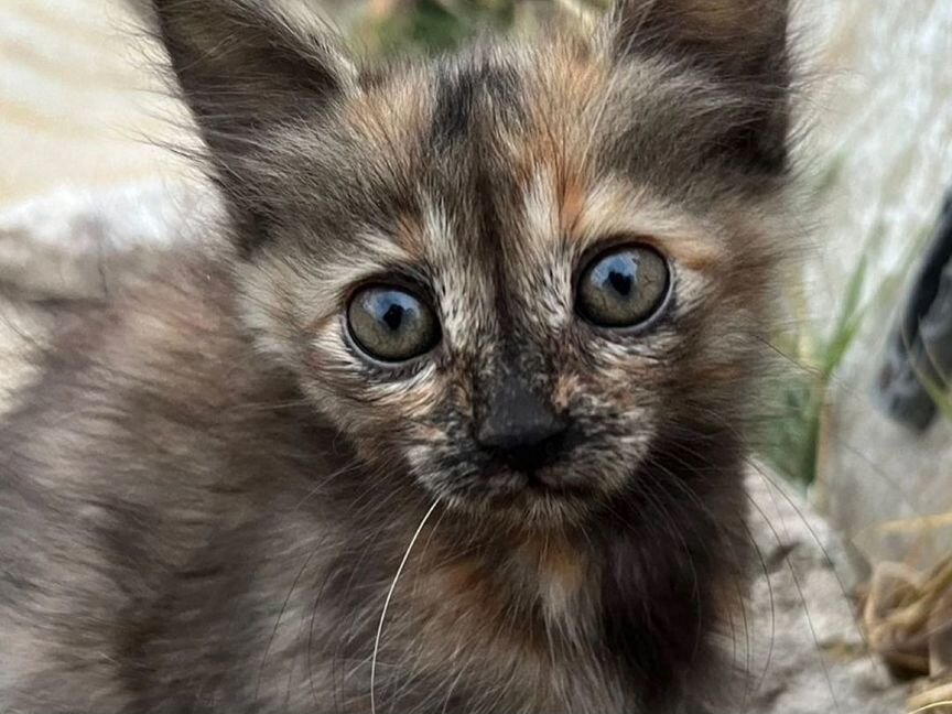 Девочку выкинули в поле