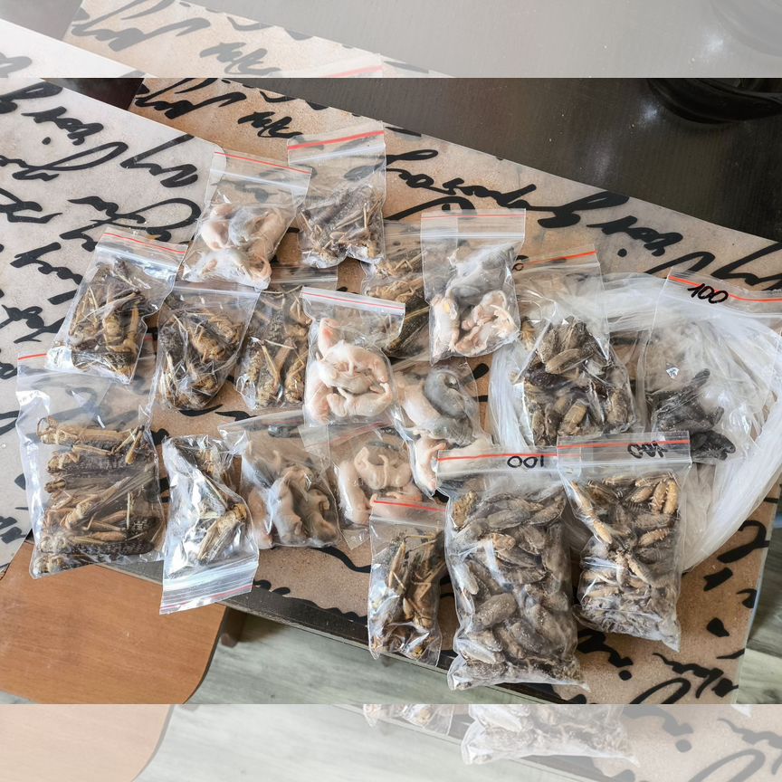 Мыши, саранча, тараканы