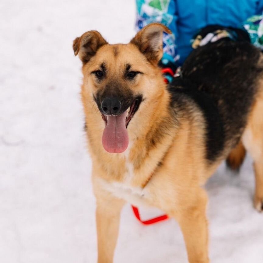 Бублик в дар