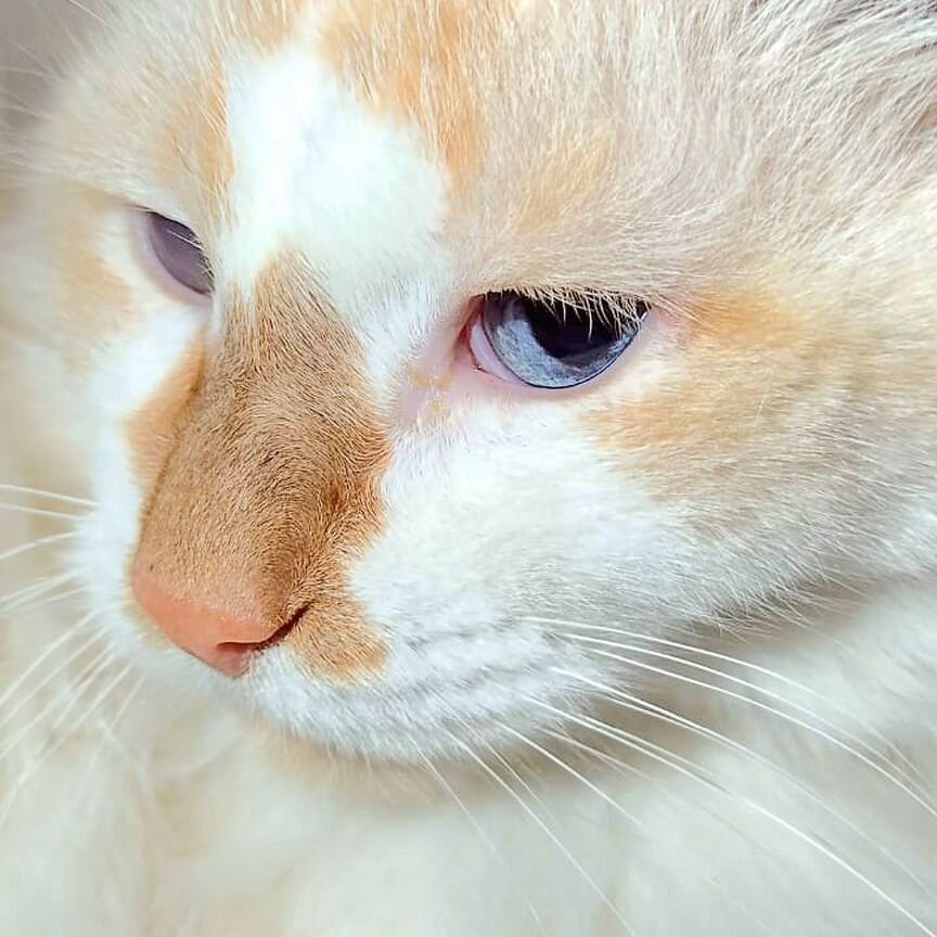 Семёну 15 лет и он ищет человека с большим сердцем