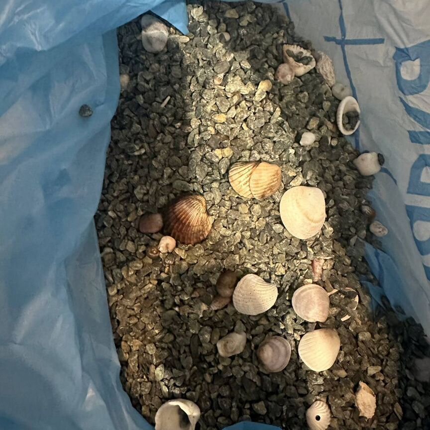 Грунт для аквариума с ракушками