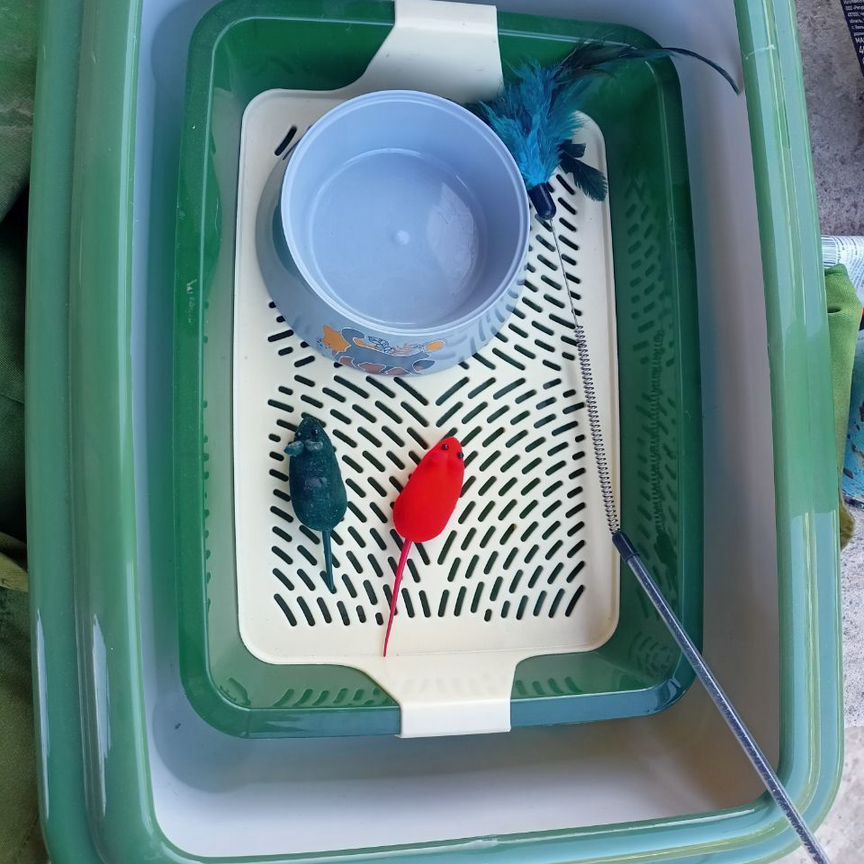 Стартовый набор для твоей киски