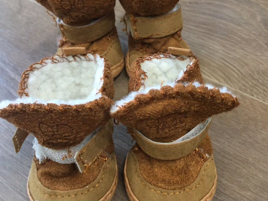 Обувь для животных