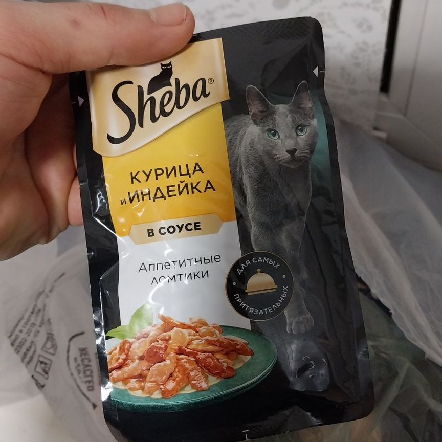 Кошачий корм влажный
