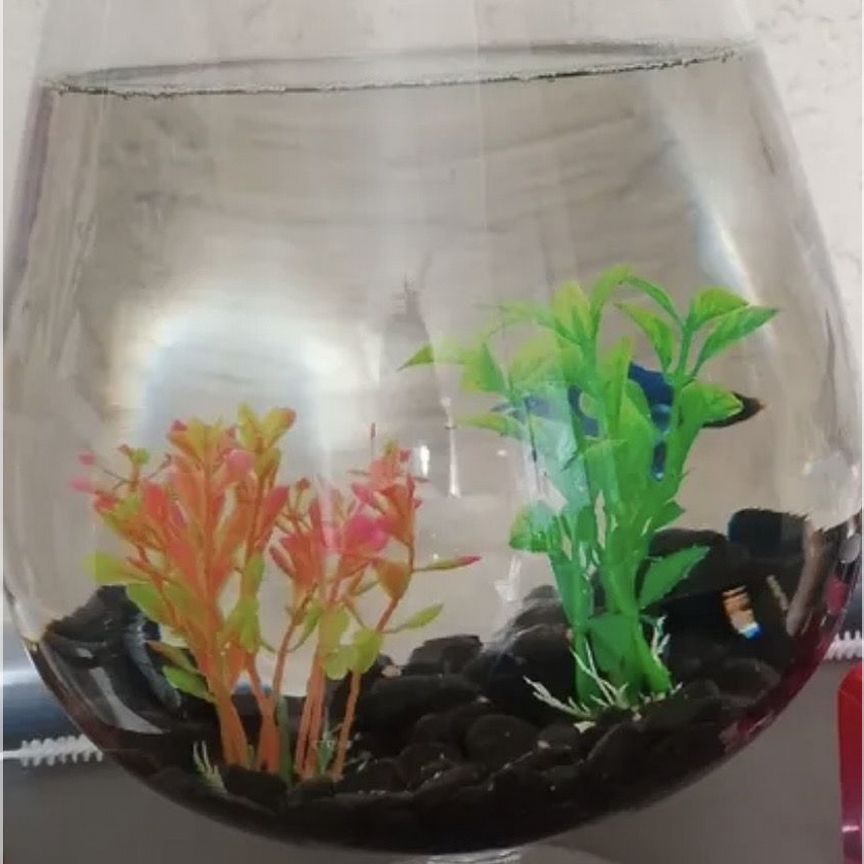 Аквариум бокал 5 л