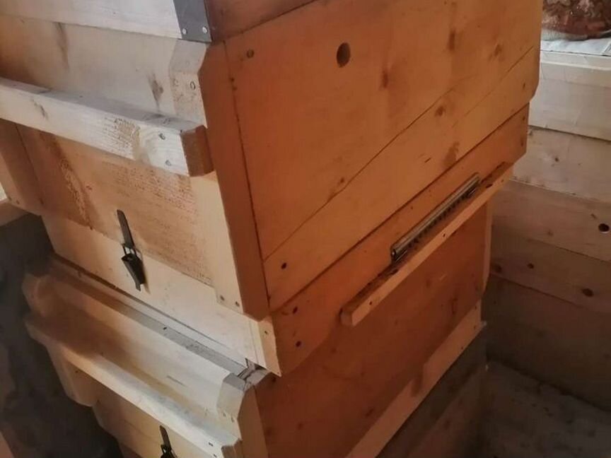 Улей