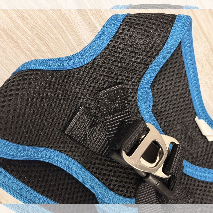 Шлейка для собаки с поводком S