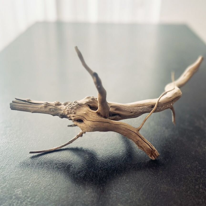 Коряги для аквариума