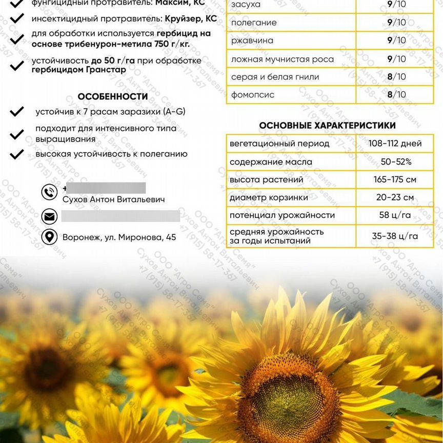 Семена гибрида подсолнечника санмарин 421