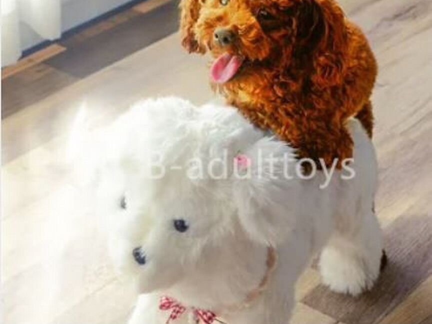 Игрушка для собак (если нет случки)