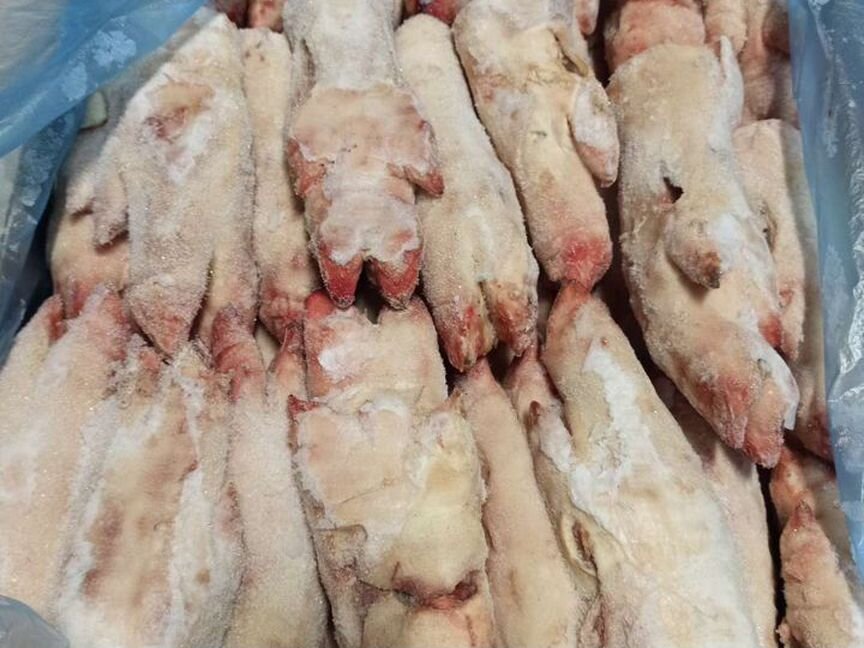 Мясо для собак