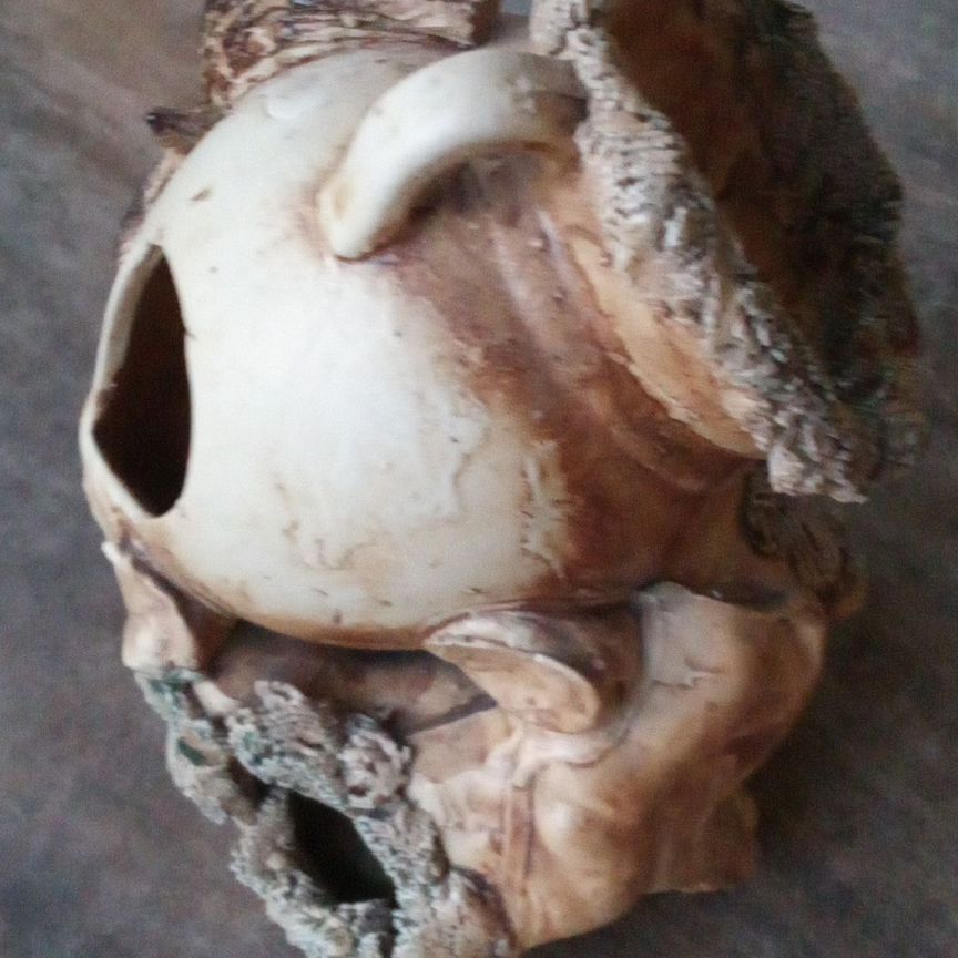 Декор для аквариума