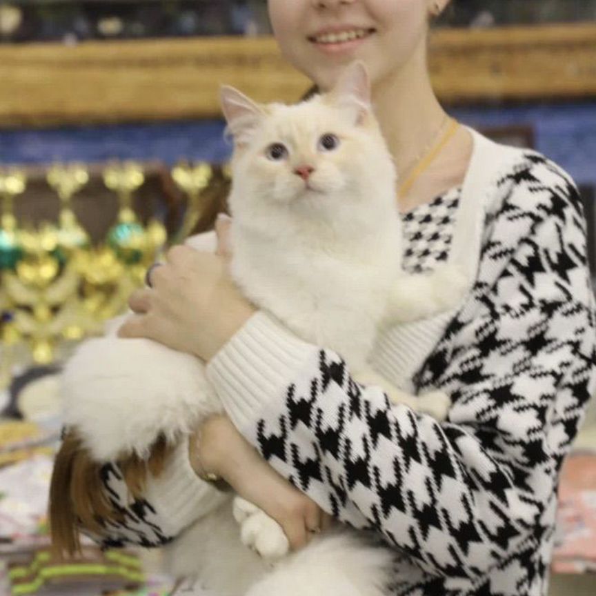Вязка невский маскарадный