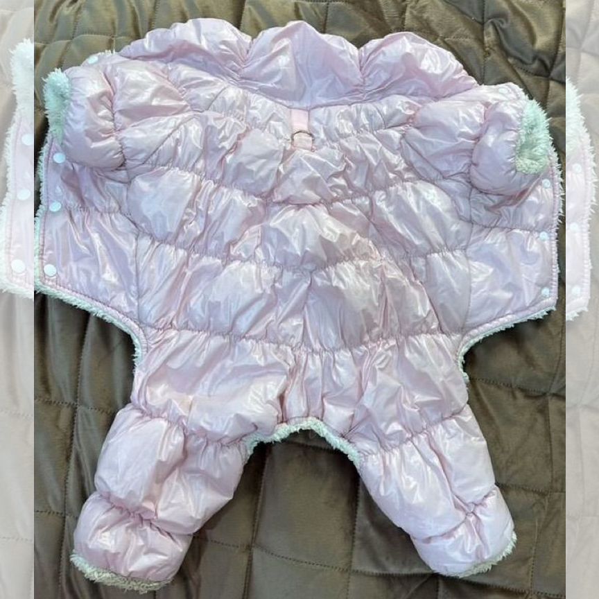 Одежда для собак