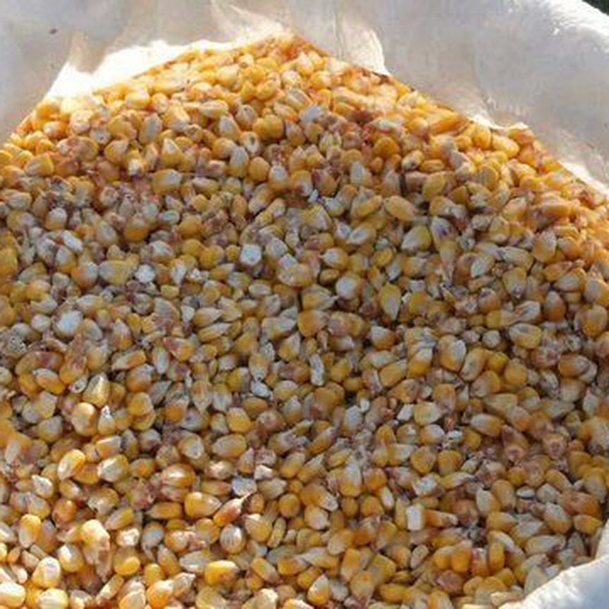 Кукуруза, горох