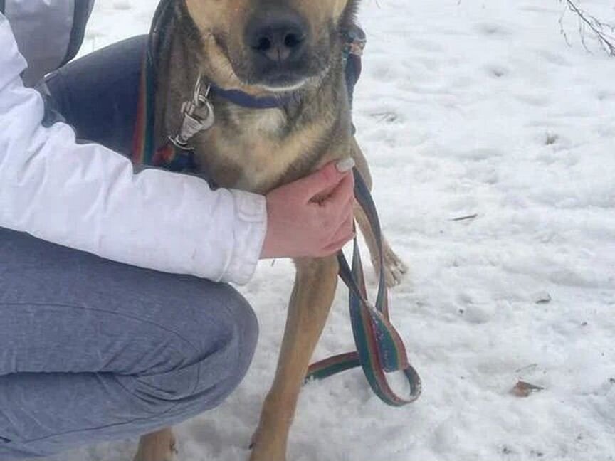 Малютка Пиф ждет своего человека