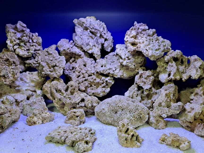Сухой рифовый камень срк для морского аквариума