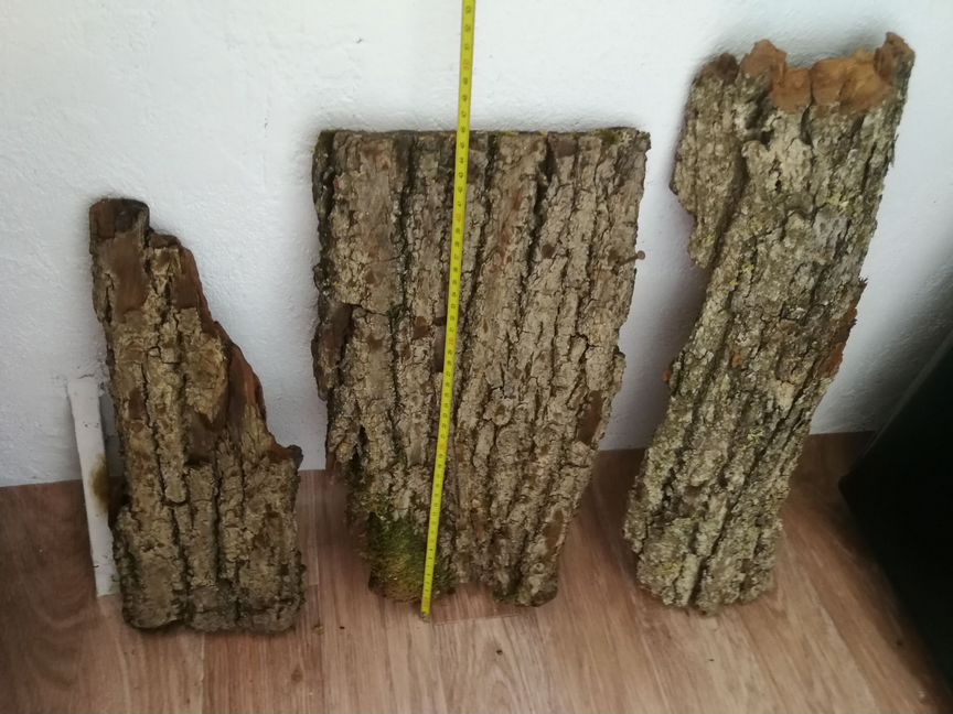 Кора для террариума, декора