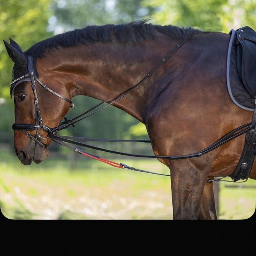 Система тренинга, развязки для лошади