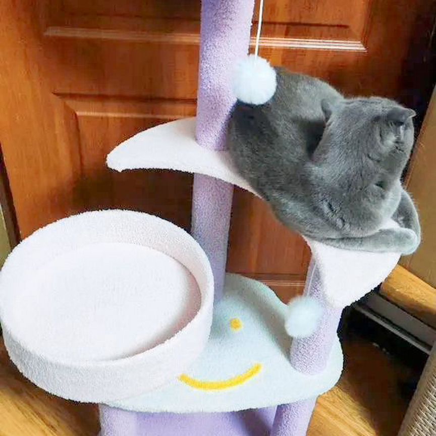 Когтеточка для кошек с лежанкой