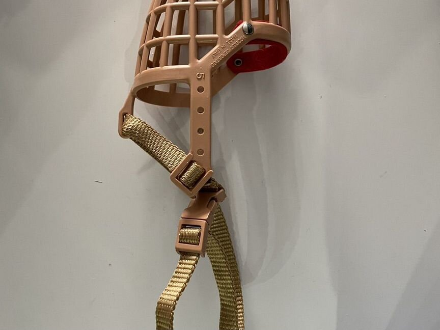 Намордник для собак