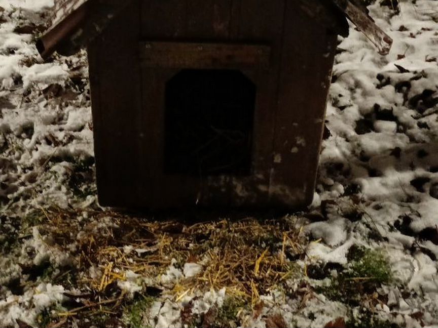 Собачья будка бу