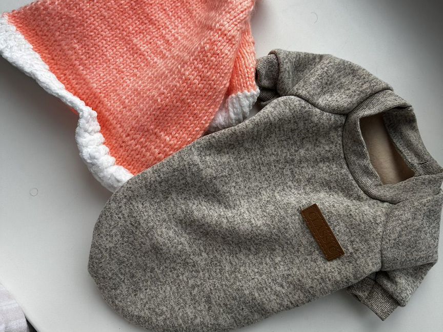 Одежда для собак / сфинксов