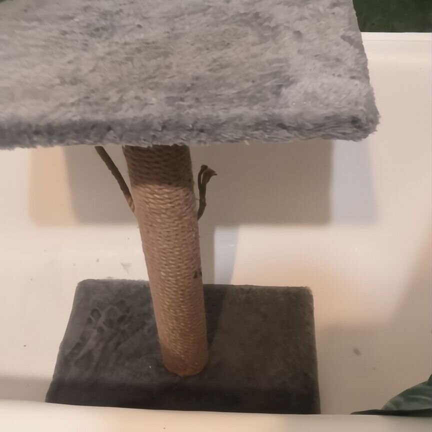 Когтеточка для кошек