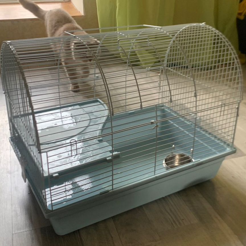 Клетка для грызунов бу