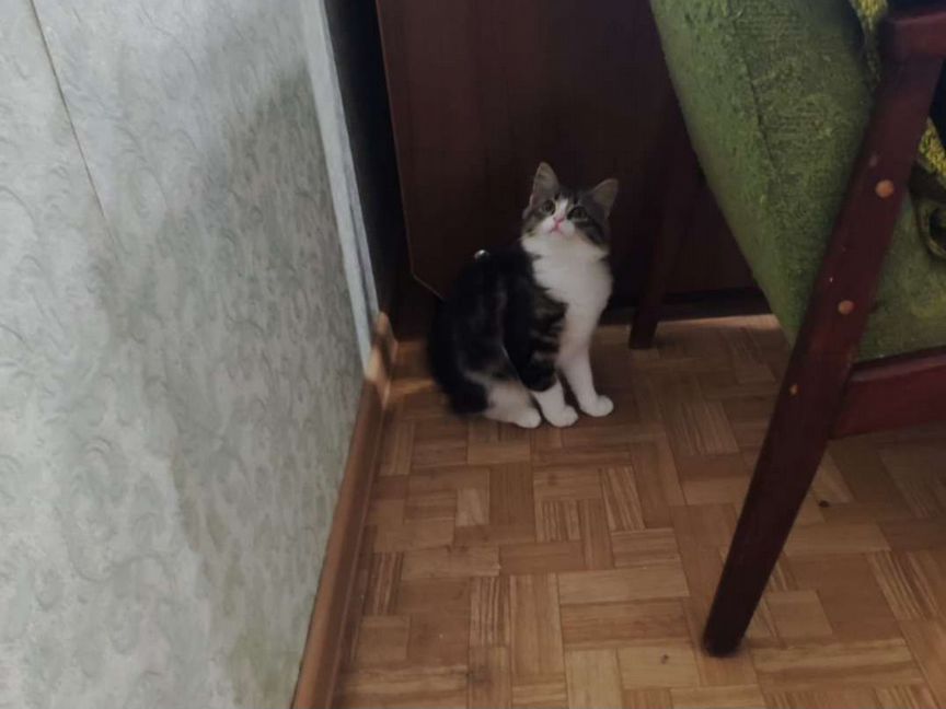 Ася 4 мес