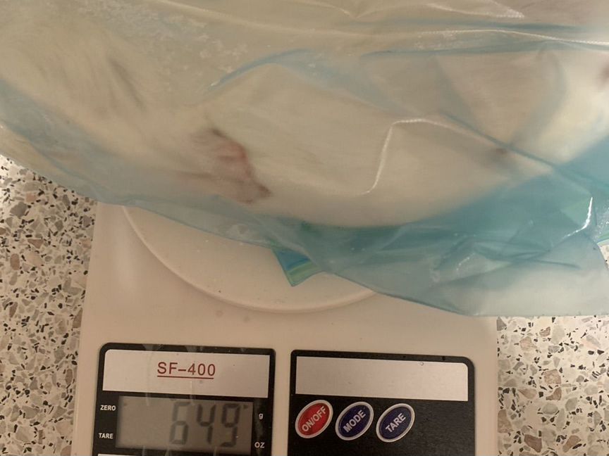 Замороженные морские свинки для крупных рептилий