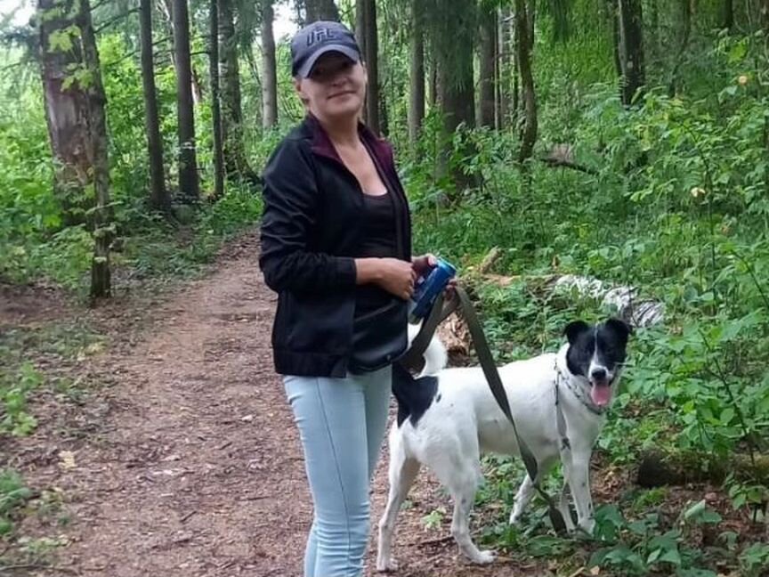 Собака в добрые руки отдам бесплатно