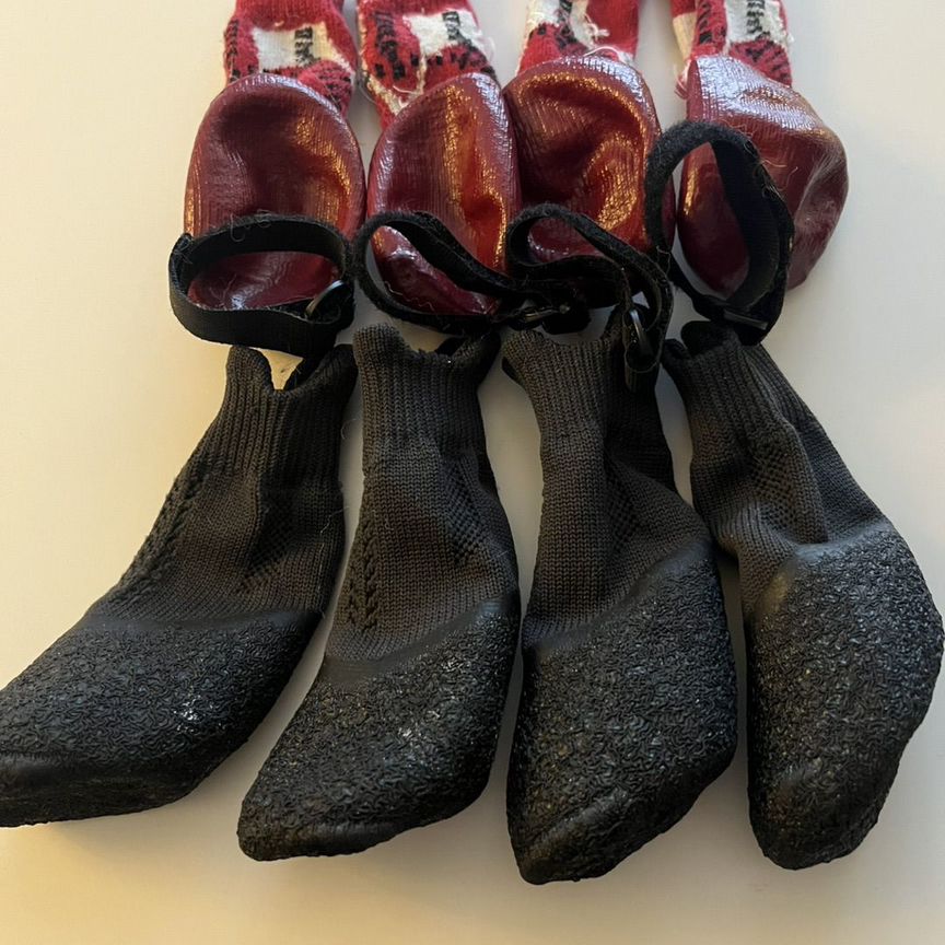 Ботинки для собак