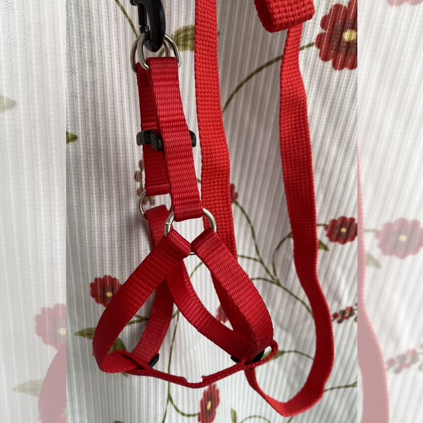 Шлейка с поводком. (новая)