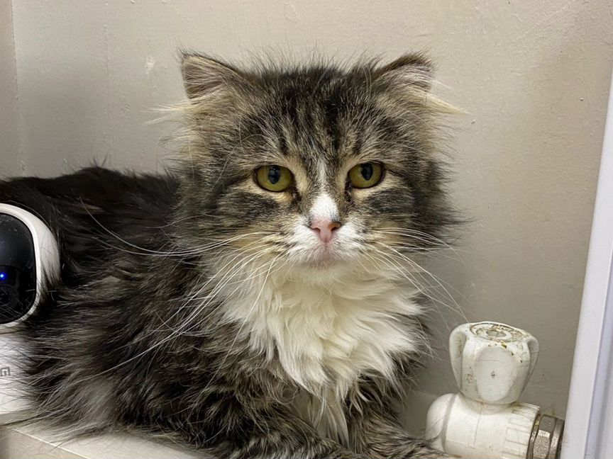 Никто не любит