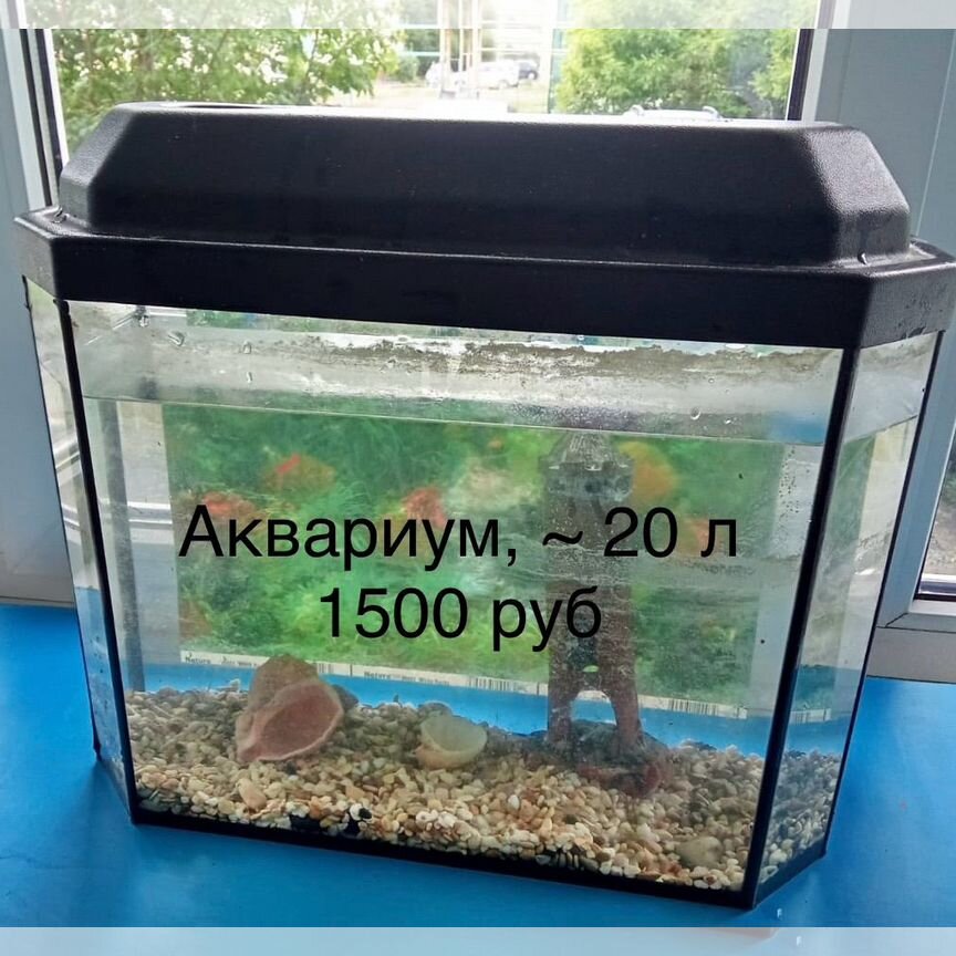 Аквариум 20 л