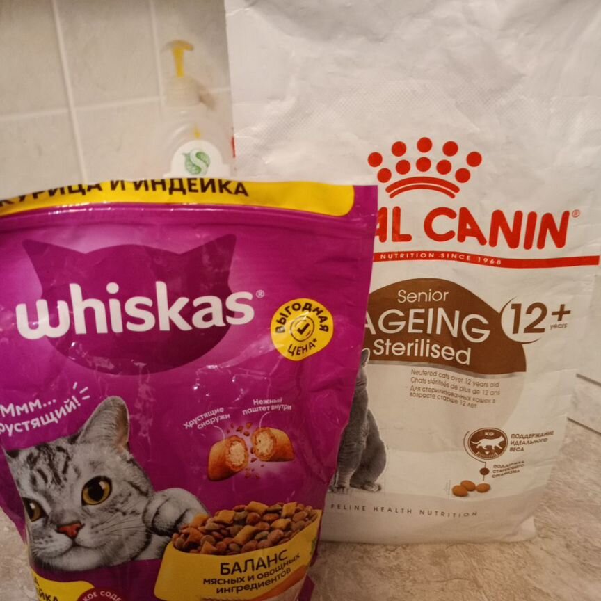 Корм для кошек бесплатно