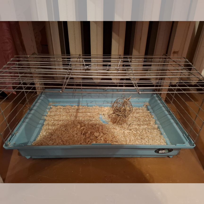 Клетка для грызунов бу