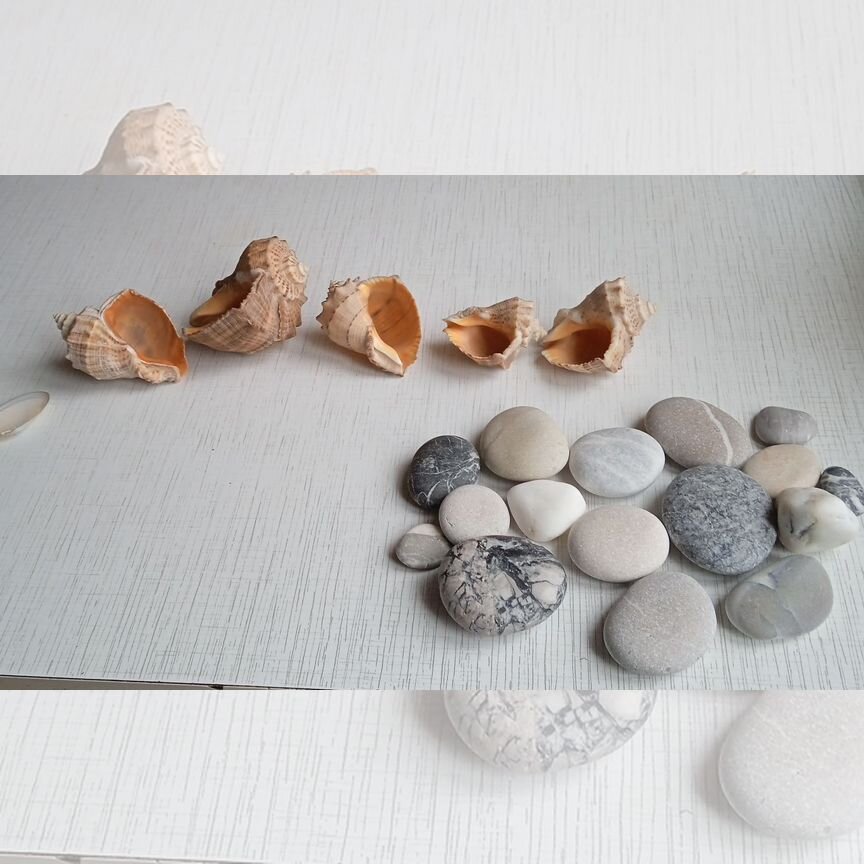 Морские ракушки и камни