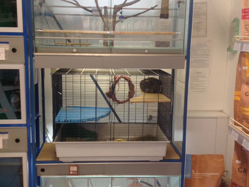 Стойки для содержания животных