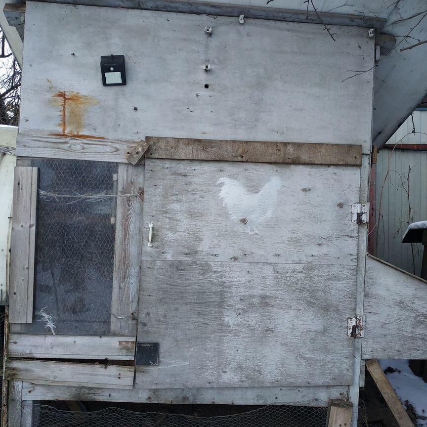 Курятник бу